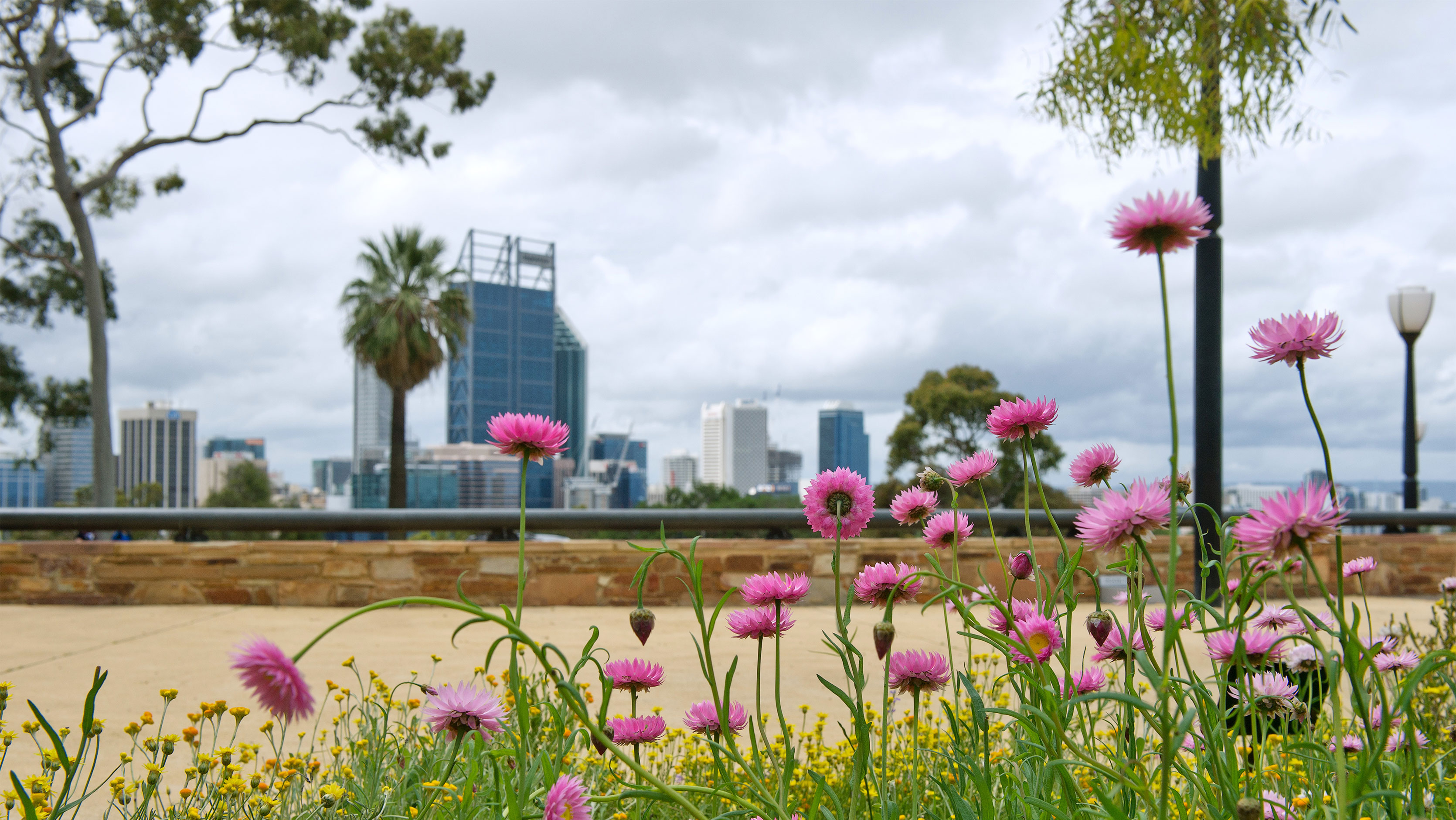 24 Hours in Perth | Departures Magazine