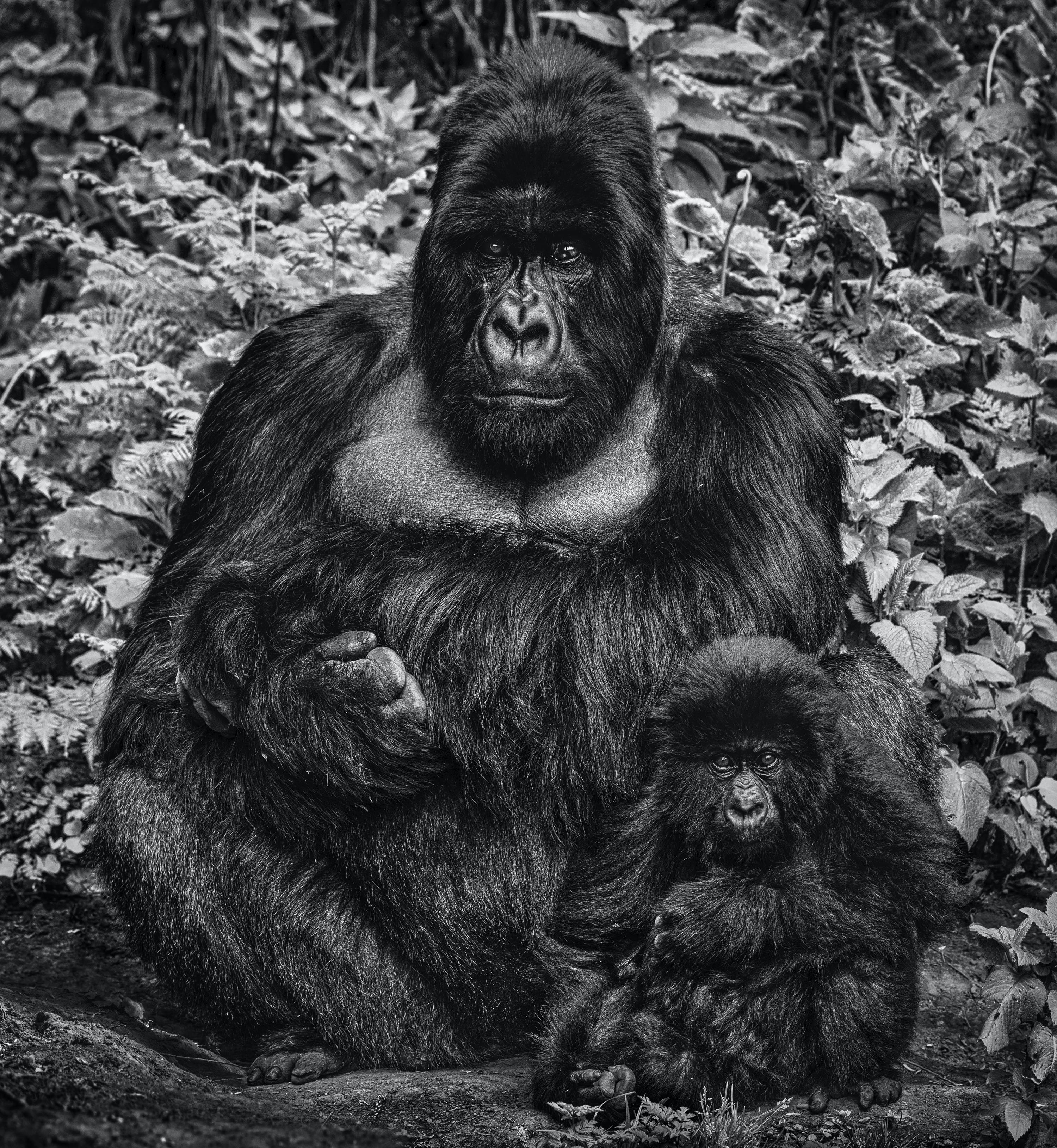 Interview with David Yarrow | Departures Magazine