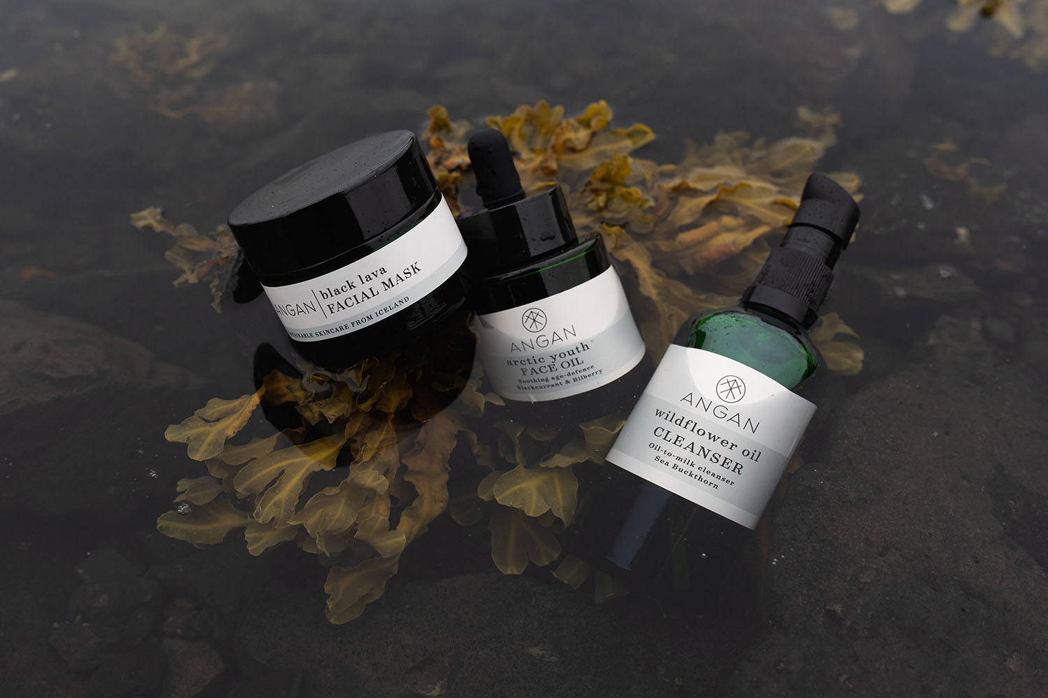 Botanical Beauty from the Isles | Departures Magazine