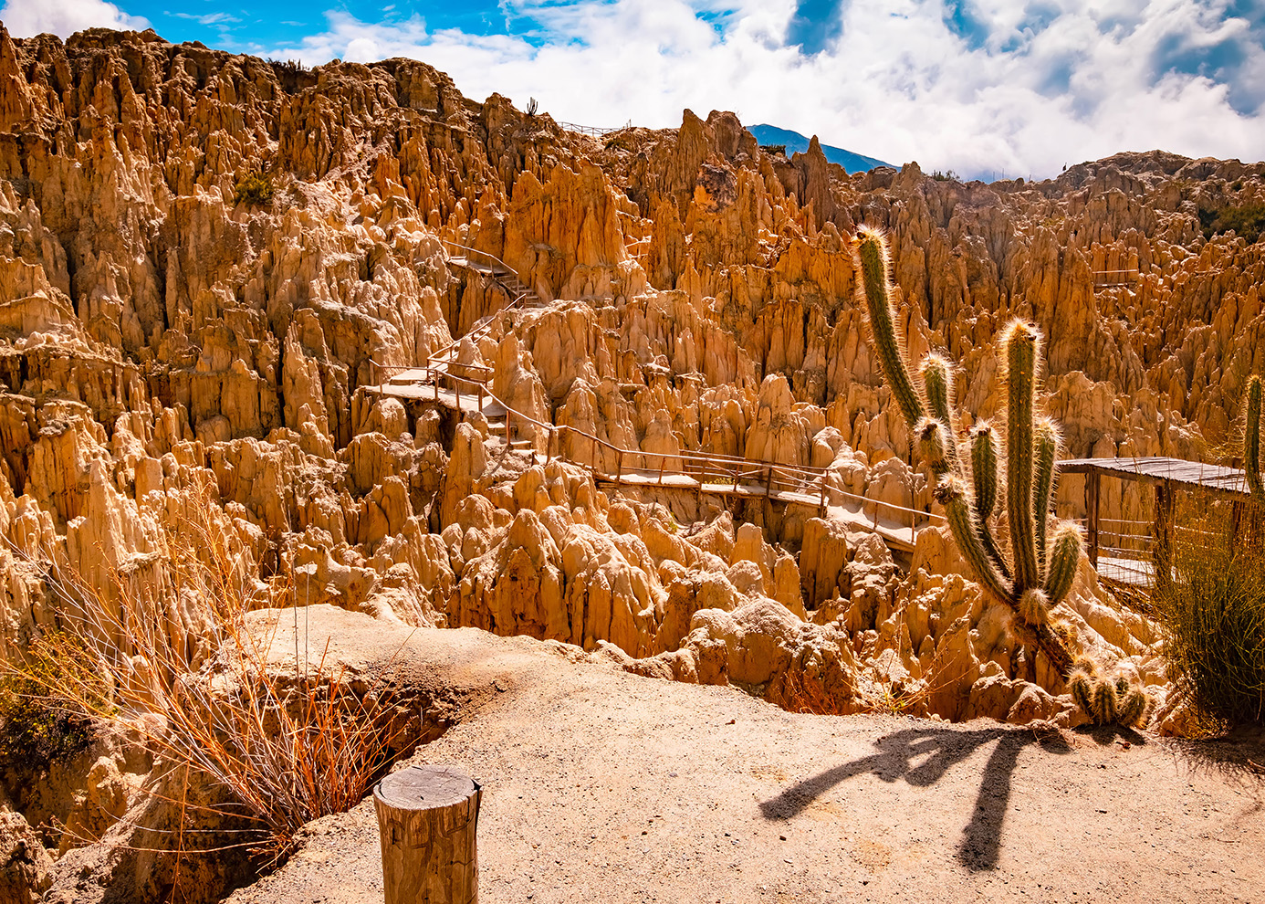 Southward Bound | Departures Magazine