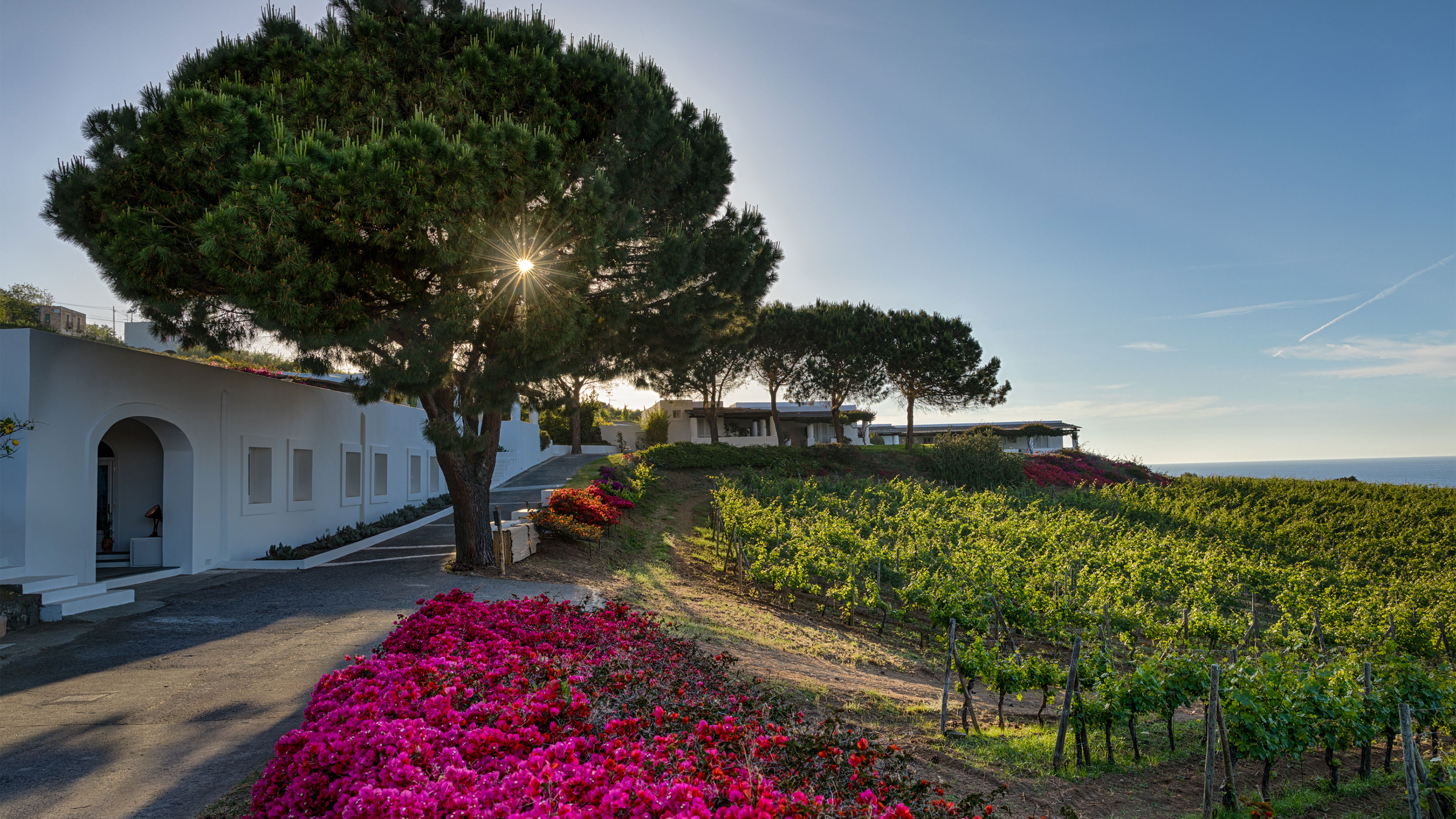 Vineyard Resorts Italy | Departures Magazine