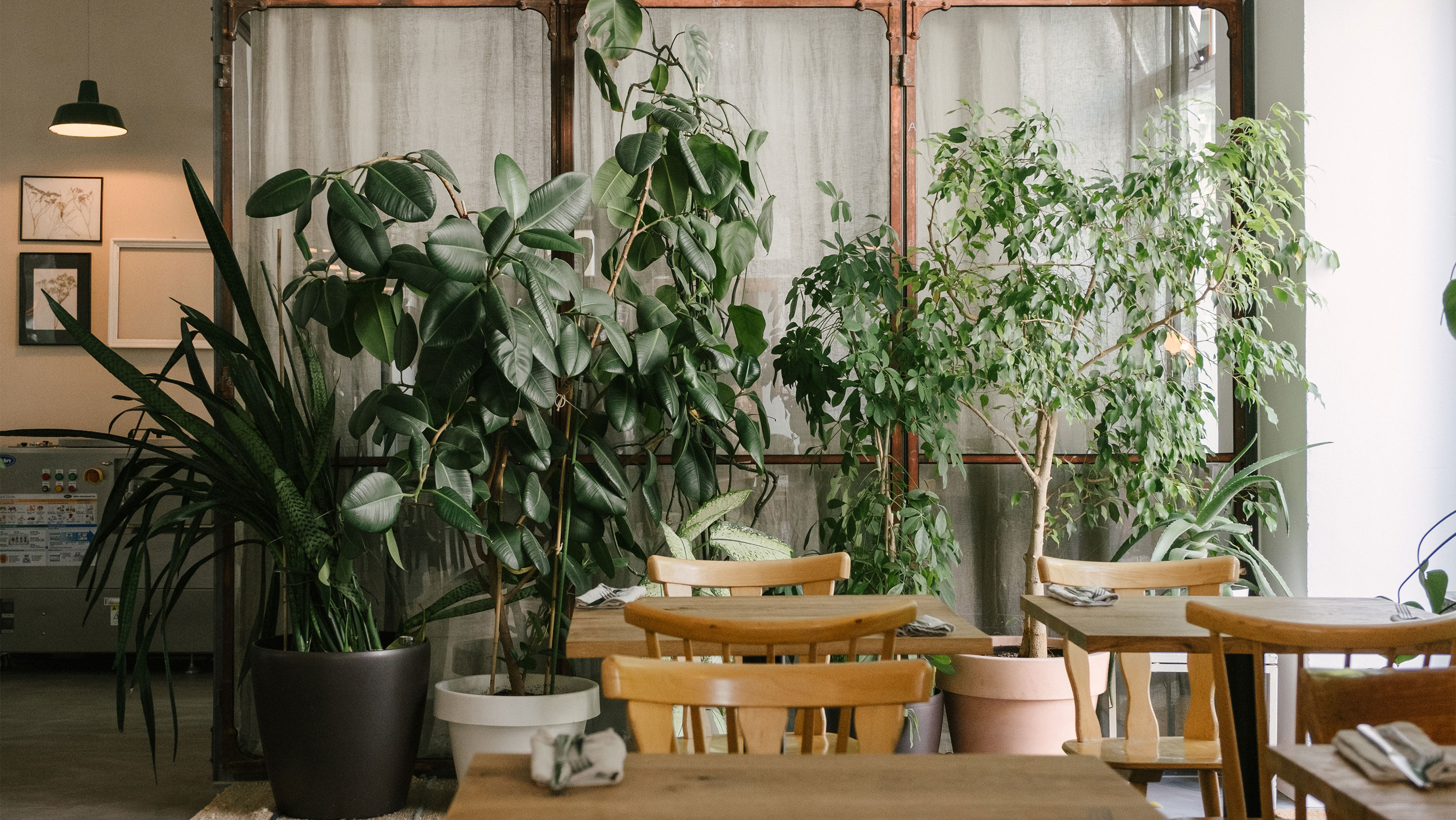 Best Restaurants in Berlin | Departures Magazine