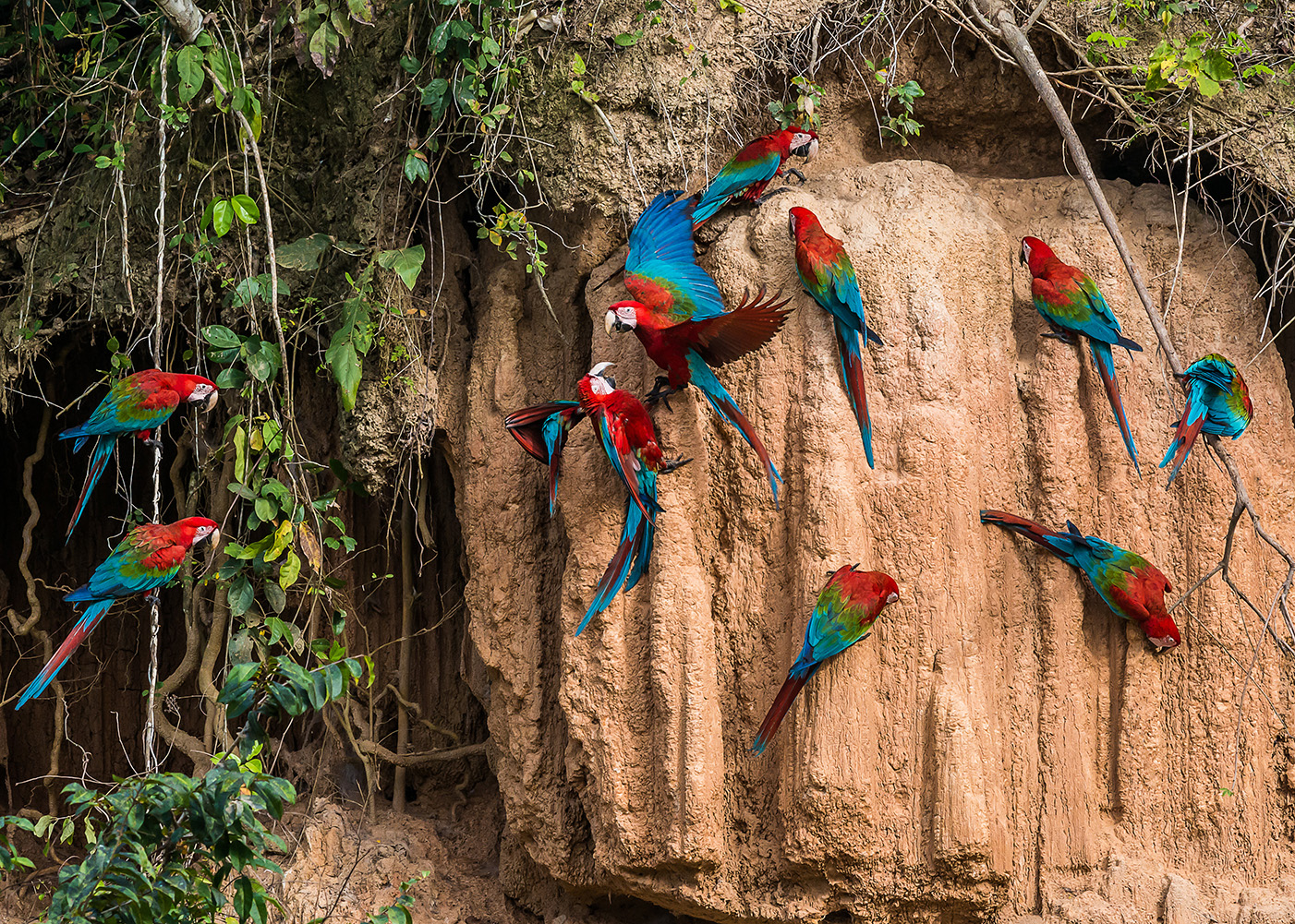 Depths of Discovery: Amazonian River Cruises | Departures Magazine